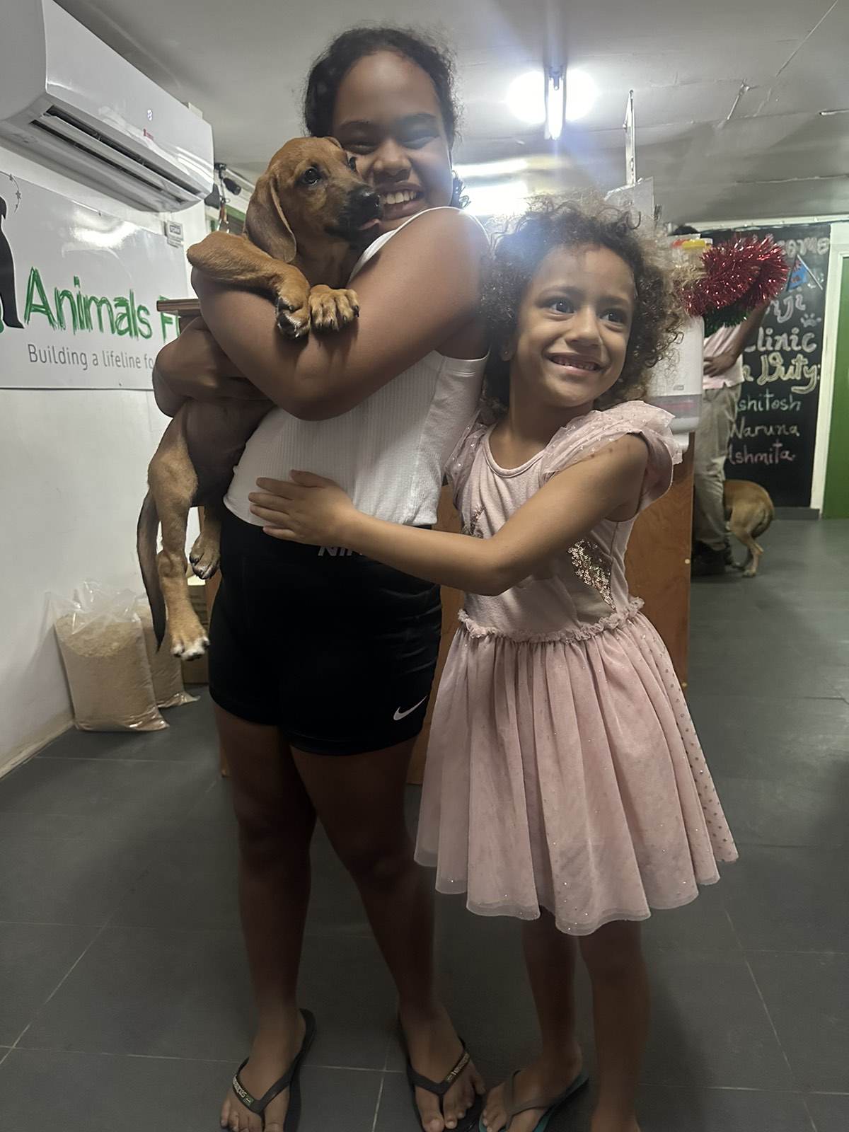 Pet-Friendly Rentals in Fiji - Helping Reduce Animal Abandonment